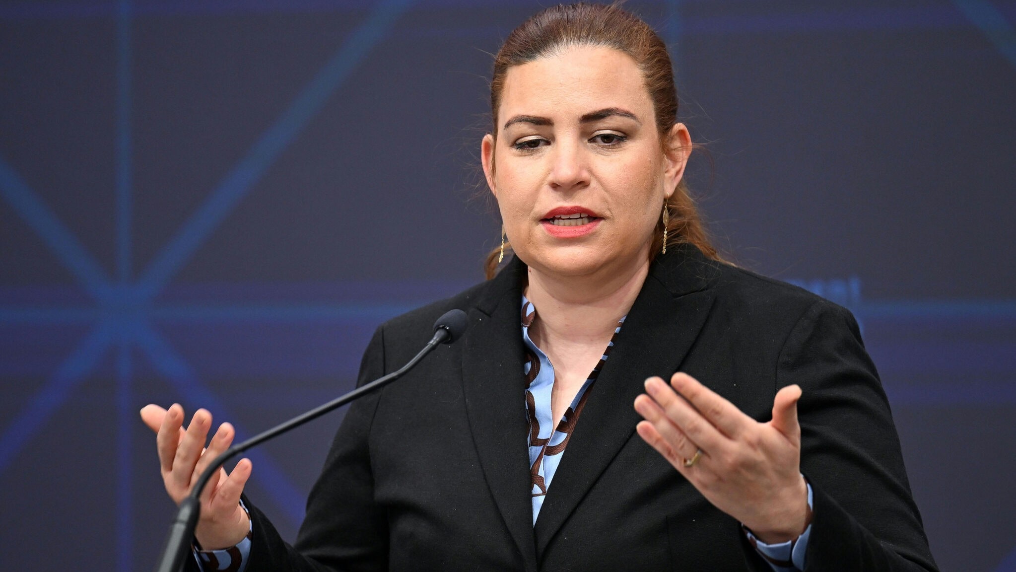 "Politische Debatte um Kurz' Ladung im Untersuchungsausschuss ...